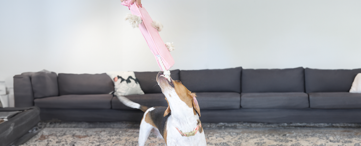 TUGGER – PatchworkPet