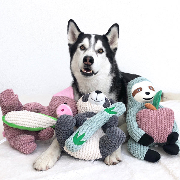 Interactive Dog Toys| Playful Pairs| Patchwork Pet Dog Toys