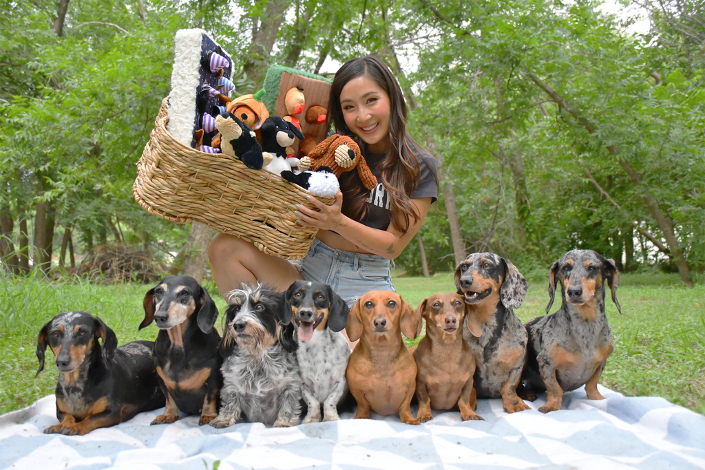Patchwork Pet: Shop Our Collection of Plush and Trendy Dog Toys ...
