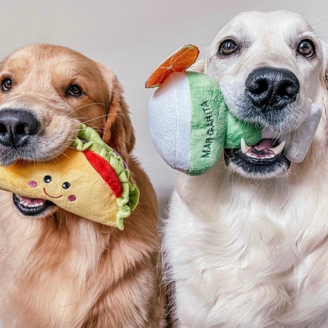 Patchwork Pet: Shop Our Collection of Plush and Trendy Dog Toys