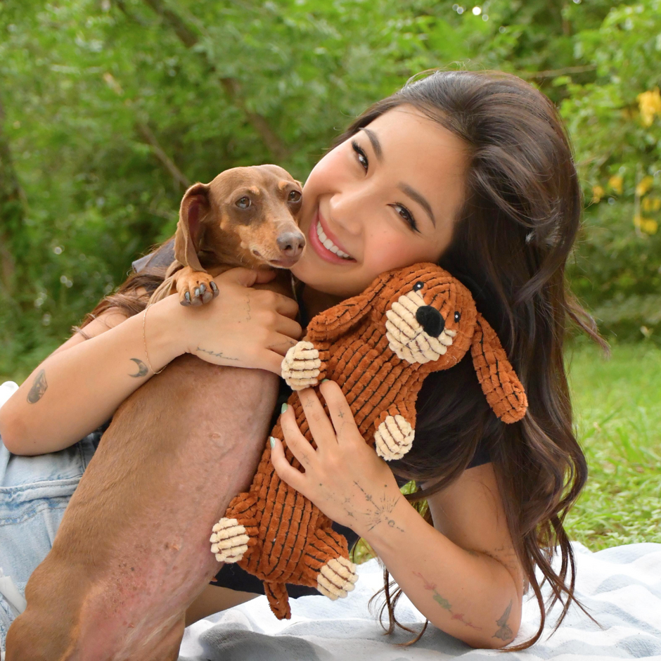 Patchwork Pet: Shop Our Collection of Plush and Trendy Dog Toys