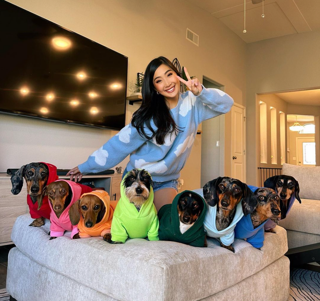 Patchwork Pet: Shop Our Collection of Plush and Trendy Dog Toys