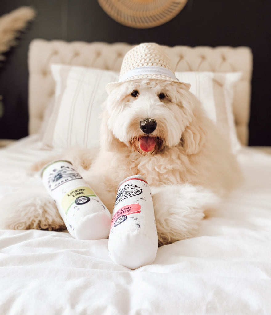 Patchwork Pet: Shop Our Collection of Plush and Trendy Dog Toys ...