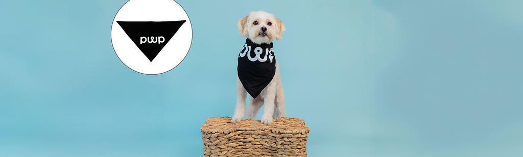 Patchwork Pet: Shop Our Collection of Plush and Trendy Dog Toys ...