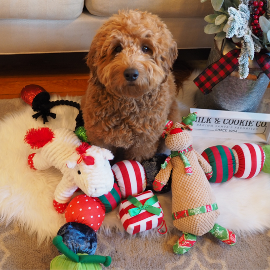 Patchwork Pet: Shop Our Collection of Plush and Trendy Dog Toys