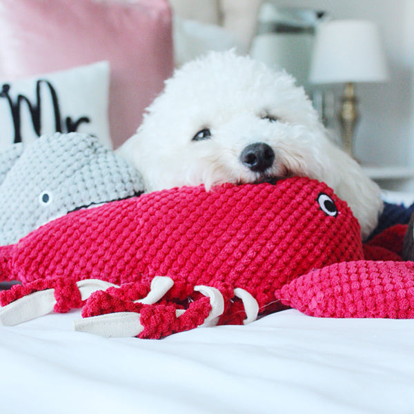 Patchwork Pet Plush Dog Toys Lobster Dog Toy 8 inches and 15 inches ...