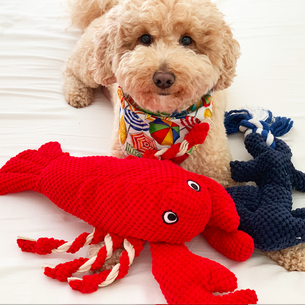 Patchwork Pet Plush Dog Toys Lobster Dog Toy 8 inches and 15 inches ...