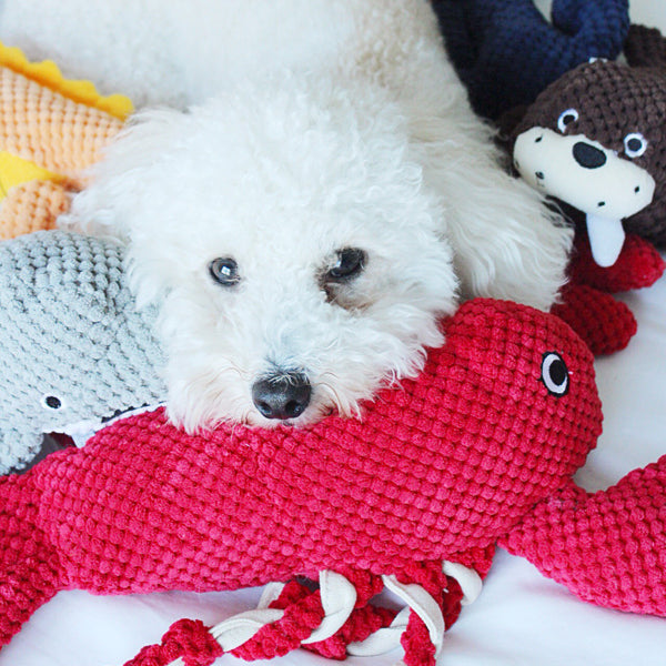 Patchwork Pet Plush Dog Toys Lobster Dog Toy 8 inches and 15 inches ...