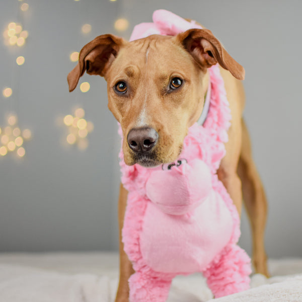 Patchwork Pet Plush Pink Gorilla Dog Toy 8 inch and 15 inch dog toy by ...