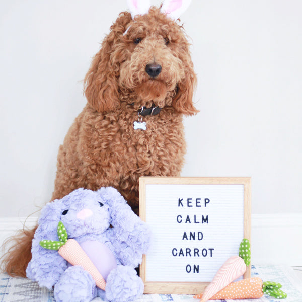 Patchwork Pet Plush Dog Toys The Pastel Rabbit Dog Toy – PatchworkPet